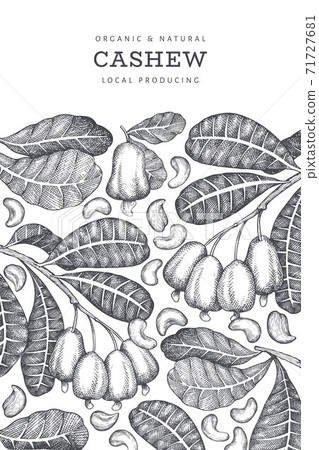 Hand drawn sketch cashew design template.... - Stock Illustration ...