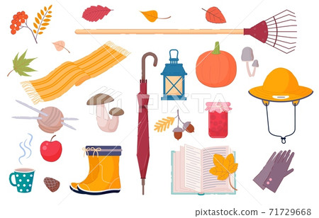 Autumn symbols and elements in illustration. - Stock Illustration ...