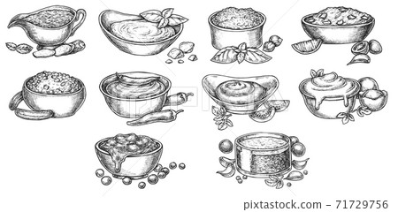 Sauce seasoning with ingredients menu sketch set - Stock Illustration ...