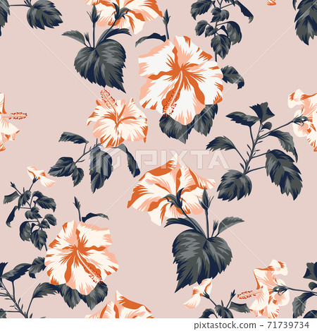 Floral background with Chinese roses - Stock Illustration [71739734 ...