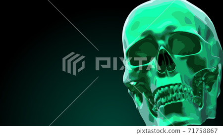 Green skeleton background. - Stock Illustration [71758867] - PIXTA