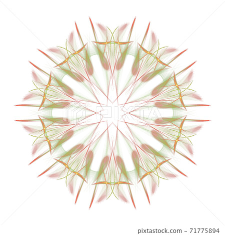 Beautiful decagon (transparent PNG background)... - Stock Illustration ...