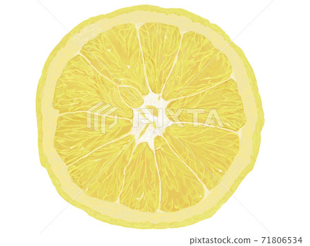 Lemon cross section illustration - Stock Illustration [71806534] - PIXTA