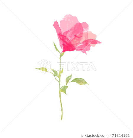 Illustration of a single rose flower - Stock Illustration [71814131 ...