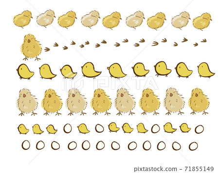 Hand drawn chick line illustration set - Stock Illustration [71855149 ...