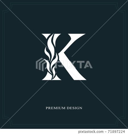 Elegant letter K. Graceful royal style.... - Stock Illustration ...