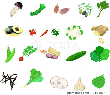Cute simple vegetable illustration set 2 - Stock Illustration [71940230 ...