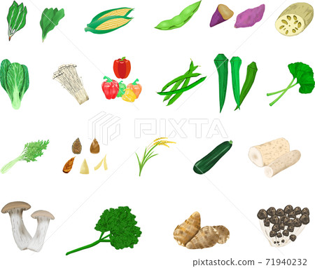 Cute simple vegetable illustration set 3 - Stock Illustration [71940232 ...