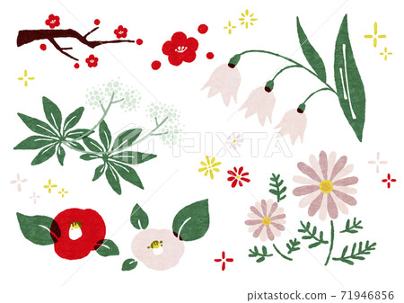 Hand drawn retro winter flower set - Stock Illustration [71946856] - PIXTA