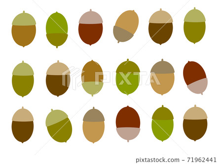 Colorful acorns - Stock Illustration [71962441] - PIXTA