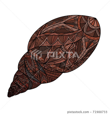 Color contour illustration of a seashell with... - Stock Illustration ...