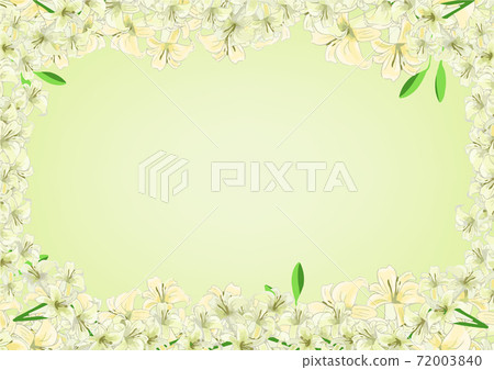 Beautiful handwritten lily flower background /... - Stock Illustration ...
