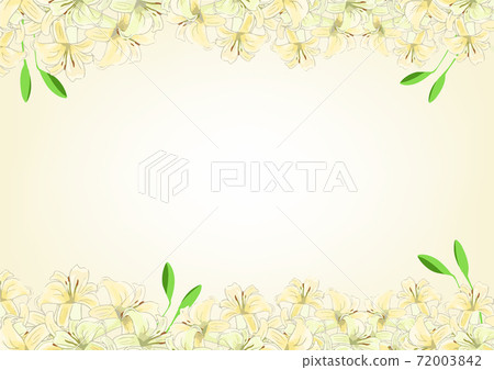 Beautiful handwritten lily flower background /... - Stock Illustration ...