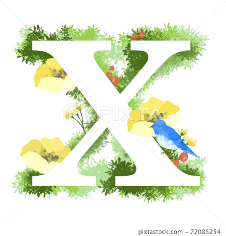 English font X with illustrations of... - Stock Illustration [72085254 ...