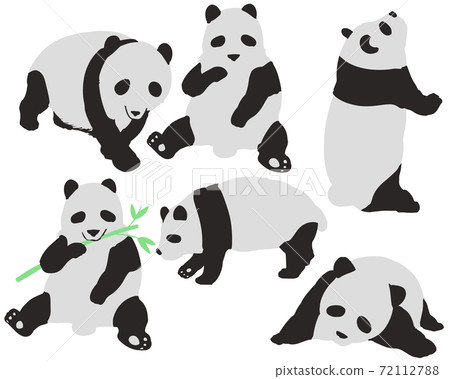 Panda (no line) - Stock Illustration [72112788] - PIXTA