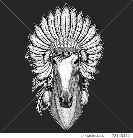 Horse, steed, courser. Indian tribal...-插圖素材 [72140323] - PIXTA圖庫