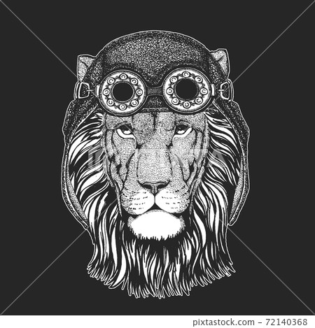 Lion head. Aviator leather helmet. Wild animal... - Stock Illustration ...