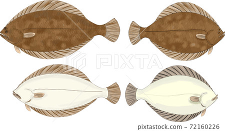 Handwritten illustrations of front and back of... - Stock Illustration ...