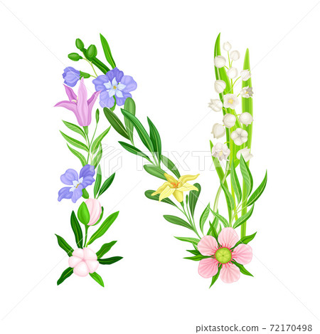 Fresh Flowers and Plants Arranged in Alphabet... - Stock Illustration ...