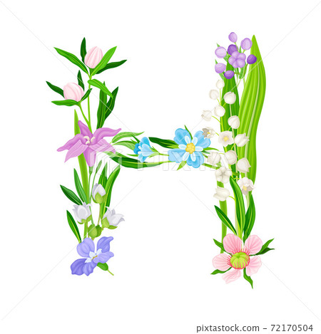 Alphabetical Character H Arranged from Fresh... - Stock Illustration ...
