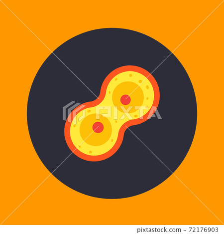 Cell division process, mitosis icon - Stock Illustration [72176903] - PIXTA