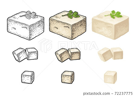 Tofu. Vector color vintage engraved... - Stock Illustration [72237775 ...