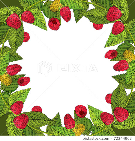 Summer template with ripe raspberries and leaves - Stock Illustration ...
