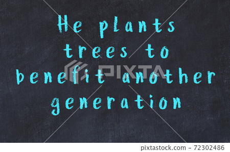 Chalk wise inscription on black chalkboard - Stock Illustration ...