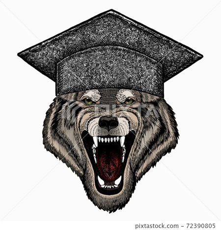 Vector portrait of wolf. Square academic cap,... - Stock Illustration ...