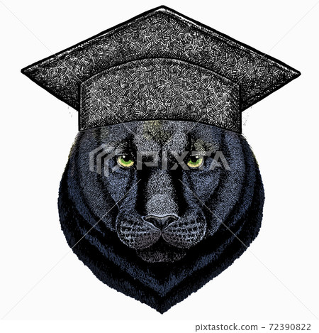 Black panther. Square academic cap, graduate... - Stock Illustration ...