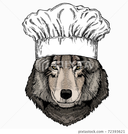Vector portrait of wolf. Chef cook hat.... - Stock Illustration ...