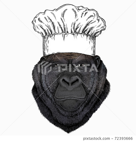 Gorilla head. Chef cook hat. Restaurant logo.... - Stock Illustration ...