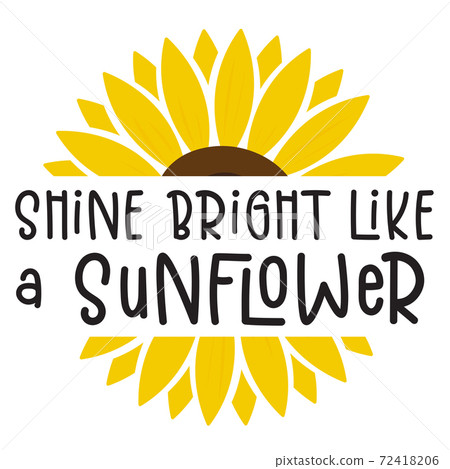 Shine Bright like a sunflower isolated on white... - Stock Illustration ...