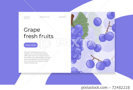 Wine grapes, table grapes vector hand drawn... - Stock Illustration ...