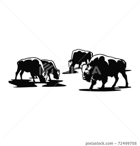 Buffalo, family of bison, herd of bison -... - Stock Illustration ...