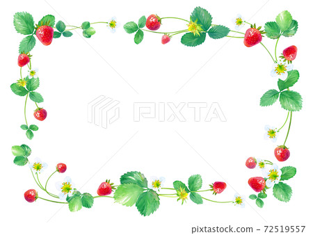 Strawberry square frame. Watercolor illustration - Stock Illustration ...