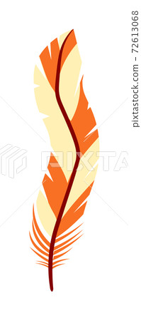 Colorful feather design element isolated on white - Stock Illustration ...