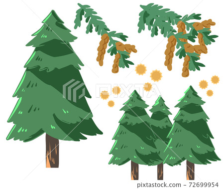 Sugi tree (no line) - Stock Illustration [72699954] - PIXTA