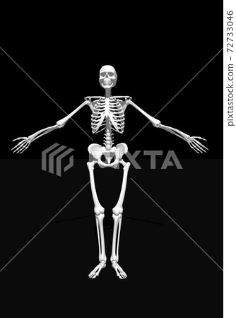 White skeleton - Stock Illustration [72733046] - PIXTA