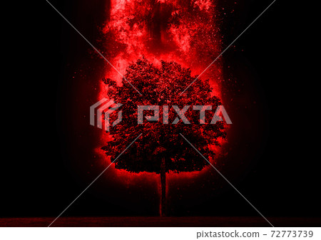 Burning flames and isolated trees - Stock Illustration [72773739] - PIXTA