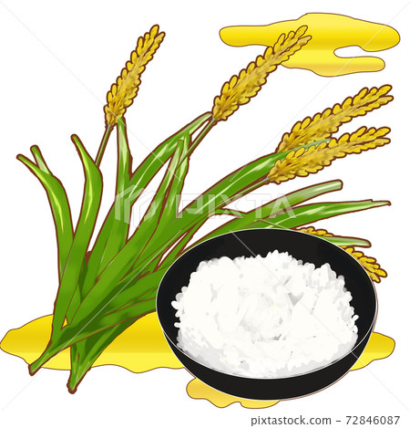 Japanese rice and rice - Stock Illustration [72846087] - PIXTA