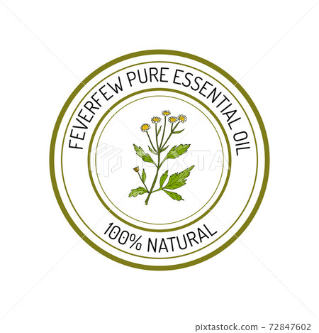 Feverfew, essential oil label, aromatic plant-插圖素材 [72847602] - PIXTA圖庫