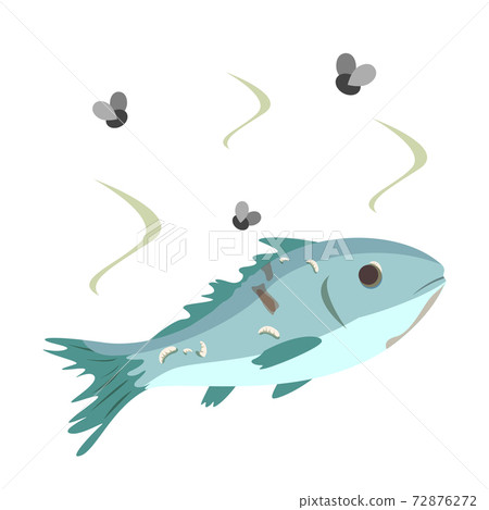 Rotten fish vector isolated. Damaged product,... - Stock Illustration ...