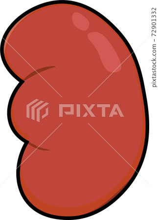 With kidney frame - Stock Illustration [72901332] - PIXTA