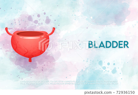 bladder, poster, vector - Stock Illustration [72936150] - PIXTA