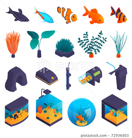 Aquarium Isometric Set - Stock Illustration [72936803] - PIXTA