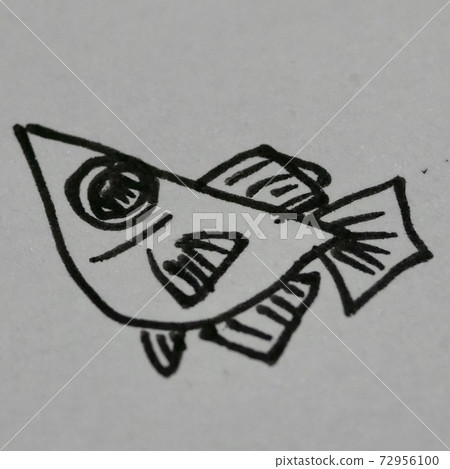 Hikari body type Dharma medaka female - Stock Illustration [72956100 ...