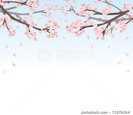 Sakura frame blue background watercolor... - Stock Illustration ...
