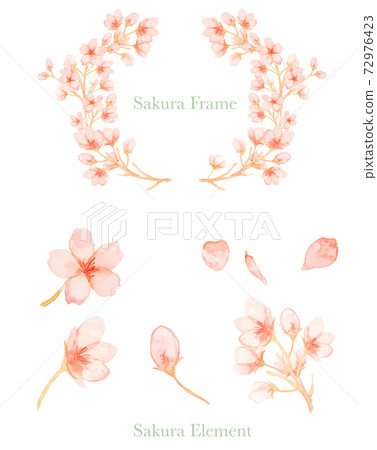 Sakura sakura cherry blossom material flower... - Stock Illustration ...