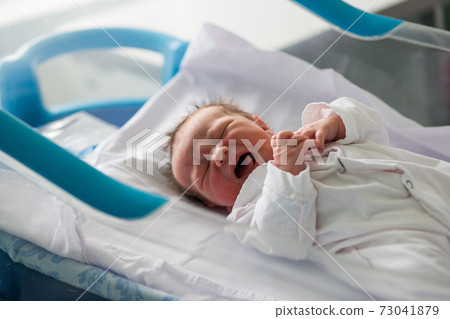 Beautiful Newborn Baby Boys In Hospital